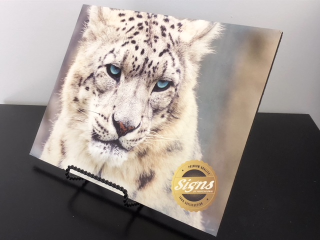 Foam Core Printing - Professional Graphics Printing Company